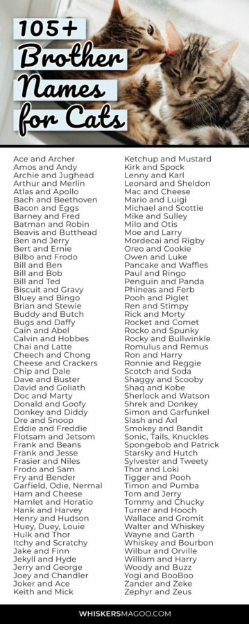 Cat Names for Brown and Black Cats