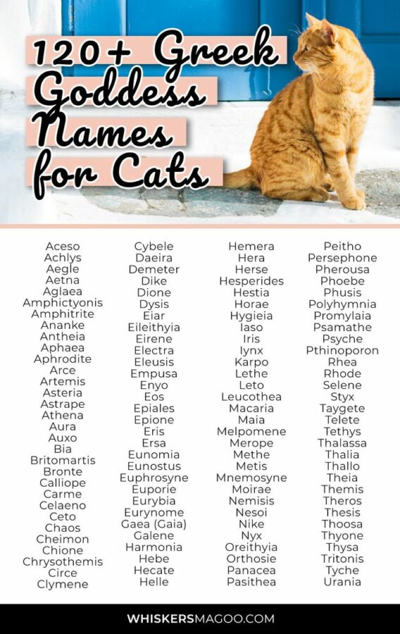 Cat Names From Literature And Mythology