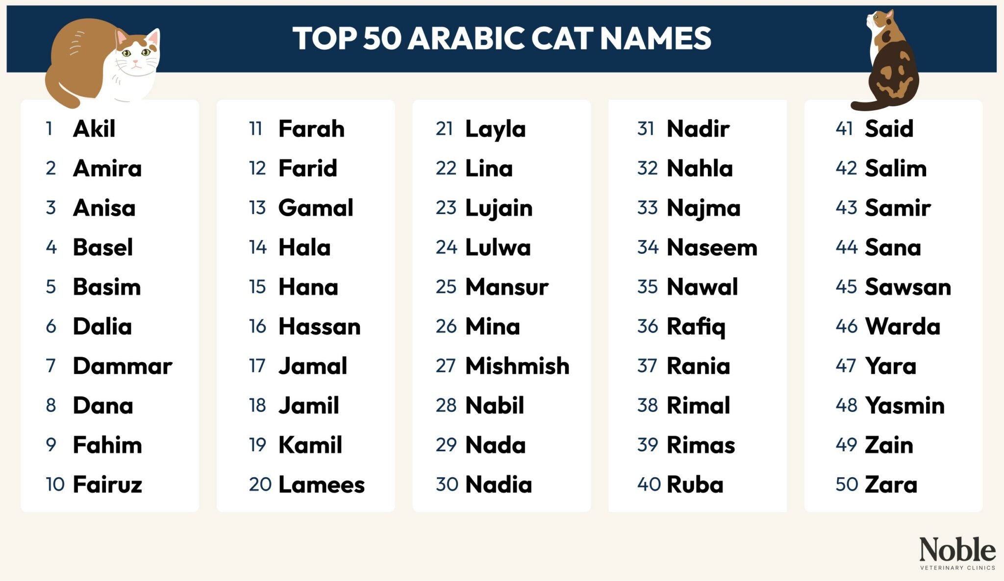 Cat Names In Different Languages With Meanings