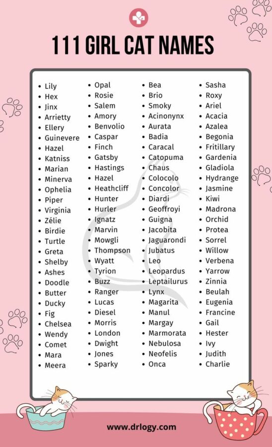 Cool Female Cat Names With Meaning