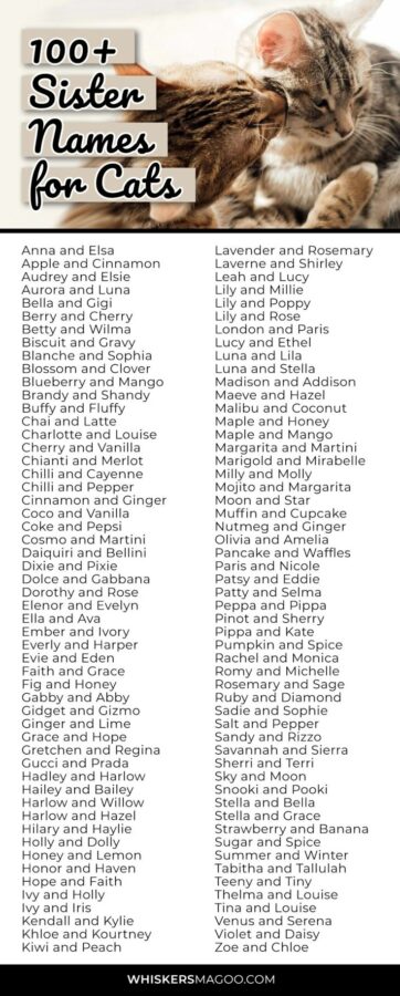 Unique Brother And Sister Cat Names