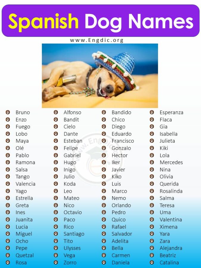 Dog Names For Males In Spanish
