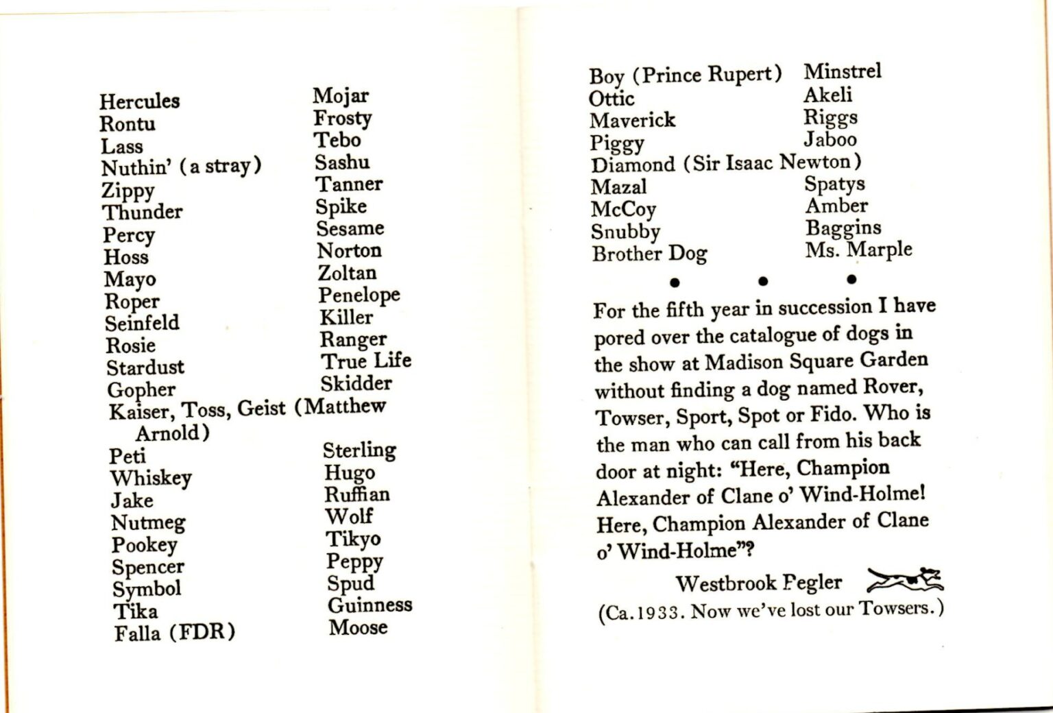 Dog Names Inspired By Literature