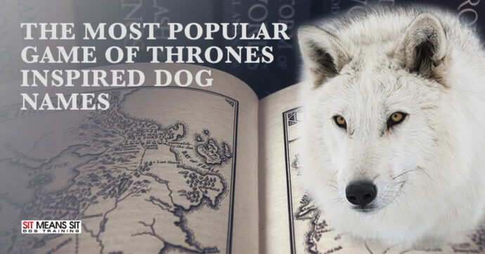 Game Of Thrones Dog Names