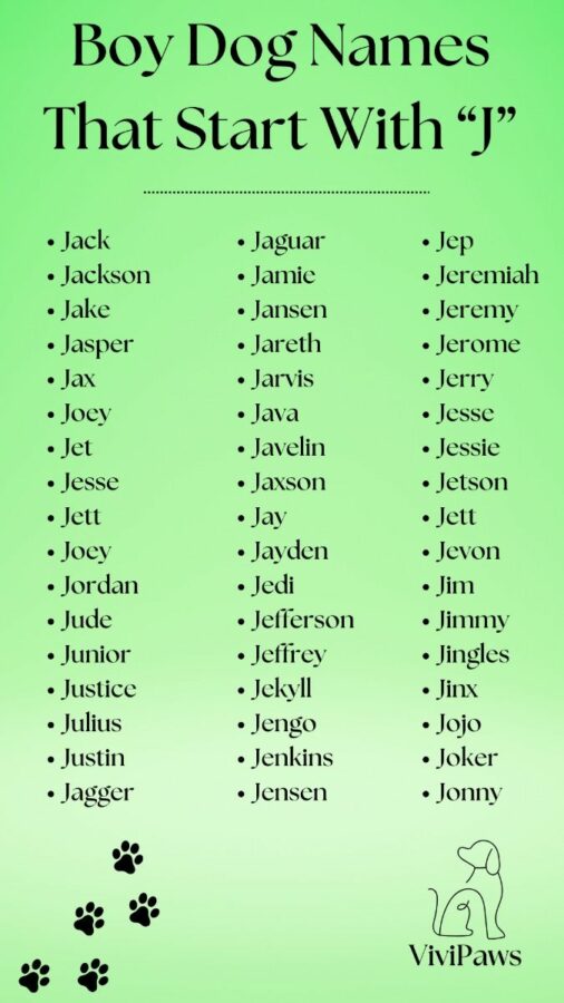Male Dog Names That Start With J