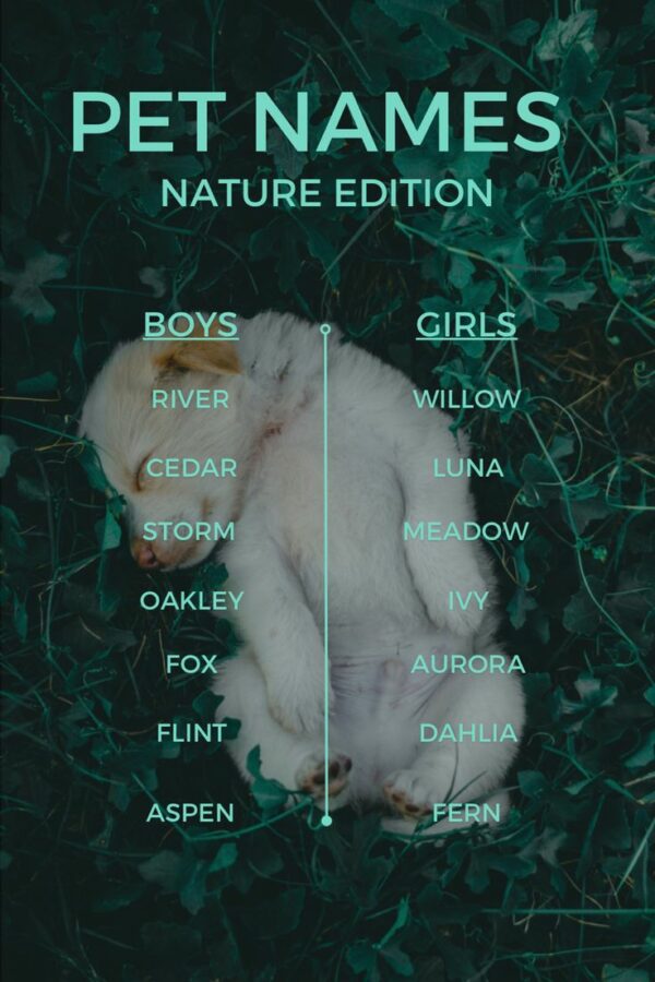Nature Inspired Male Dog Names