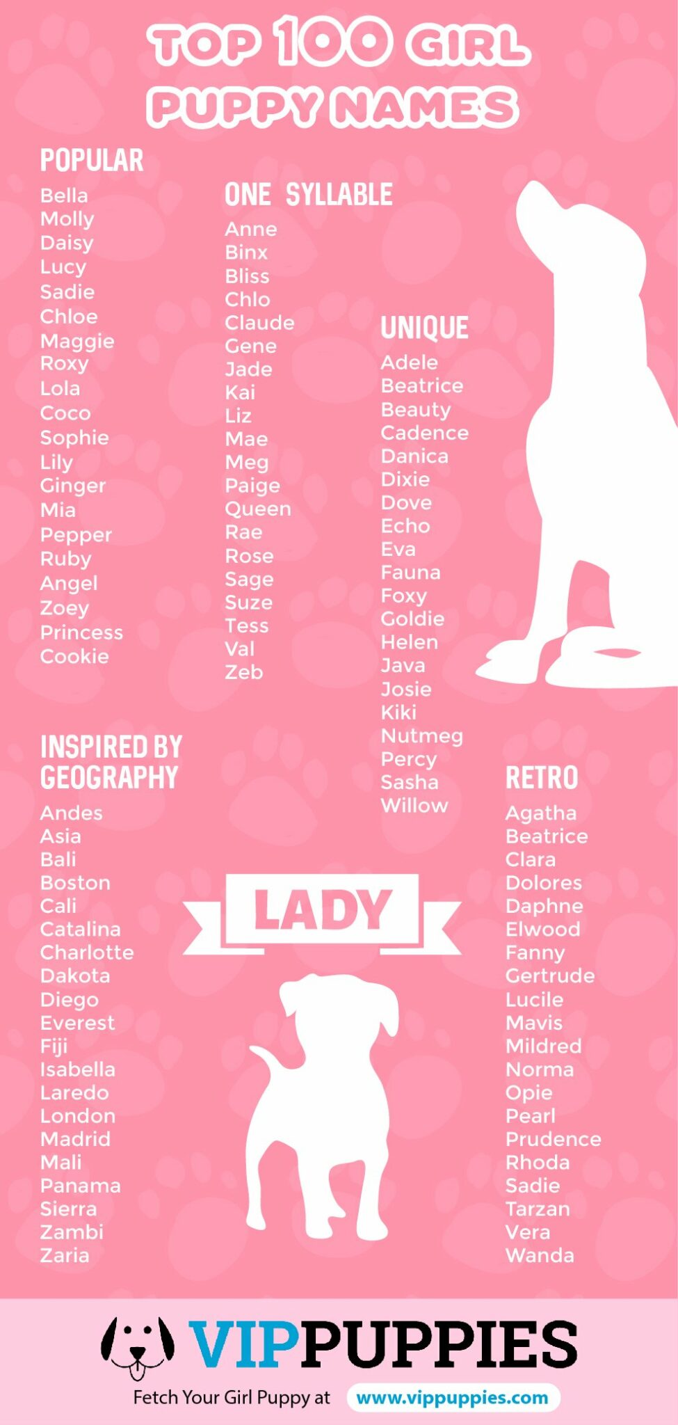 Unique Southern Female Dog Names