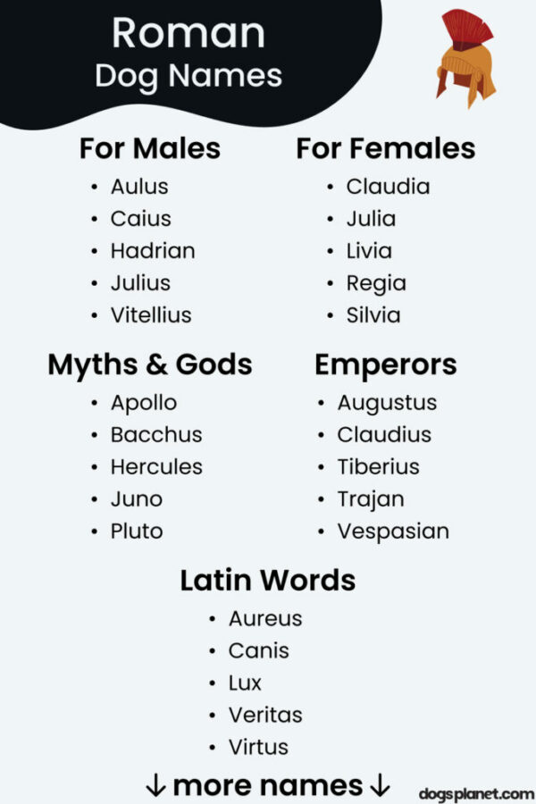 Latin Male Dog Names And Meanings